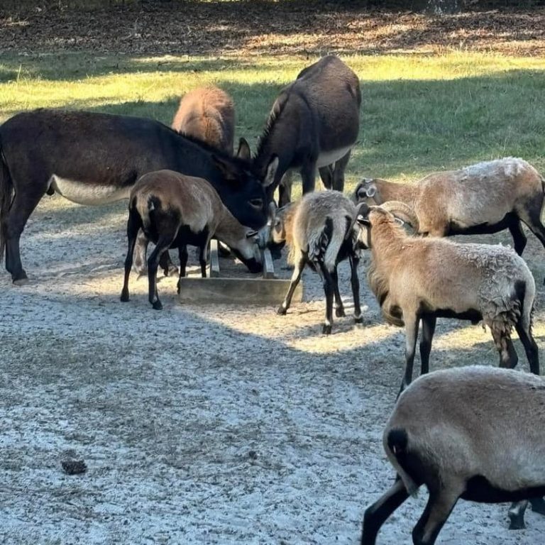 Calhoun Produce | Calhoun Produce